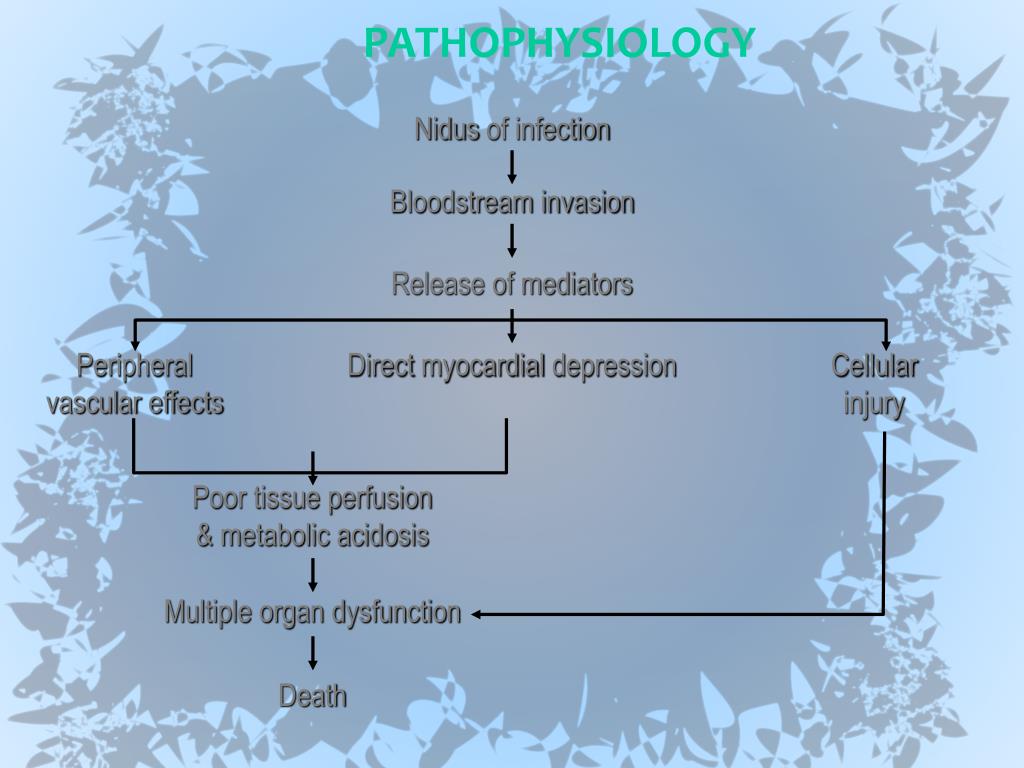 PPT - Pathophysiology , diagnosis and management of septicaemic shock ...