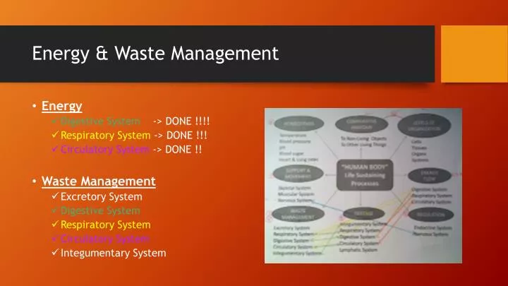 PPT - Energy & Waste Management PowerPoint Presentation, free download ...