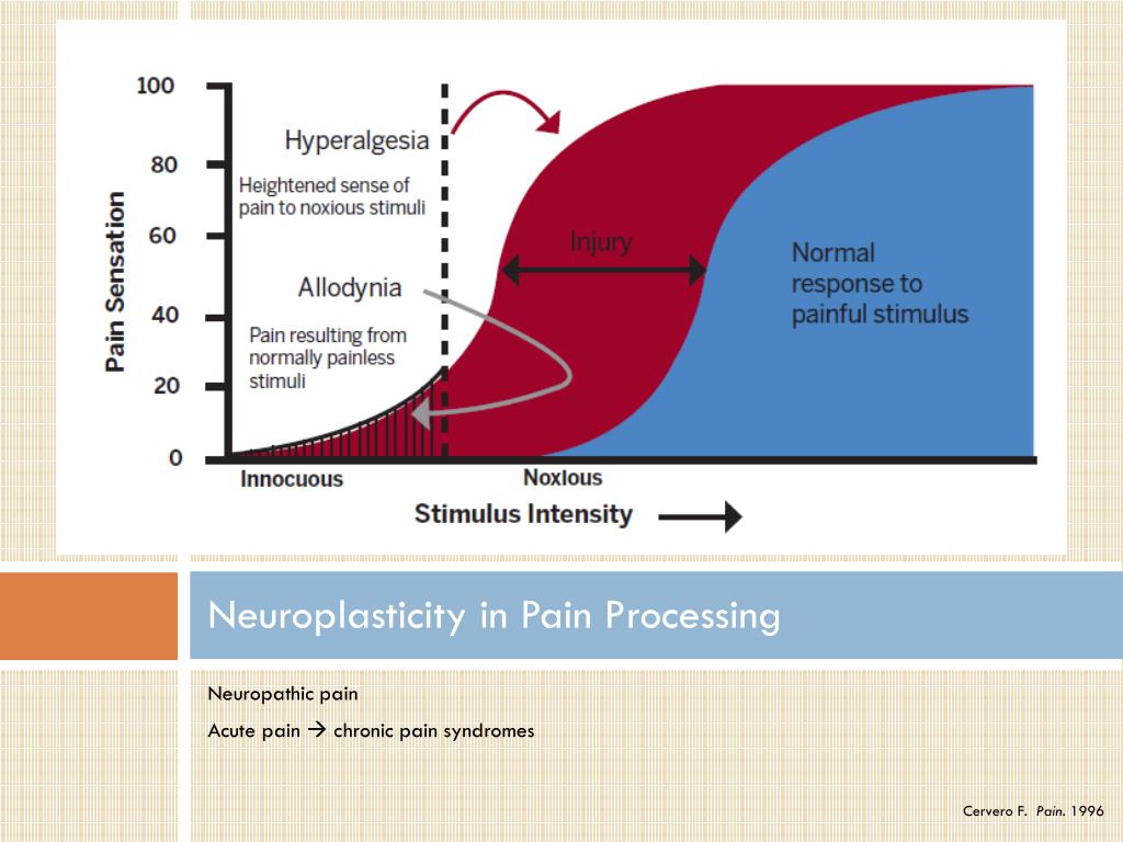 PPT - Pain Management in the hospitalized patient PowerPoint ...