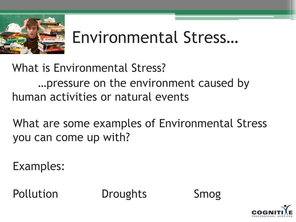 PPT - Teen Stress 101: Tips and Strategies for Success PowerPoint ...