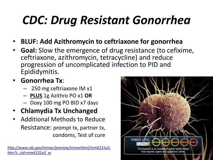 PPT - Clinical Updates and Misc Info PowerPoint Presentation - ID:1571766