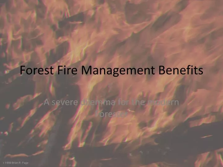 PPT - Forest Fire Management Benefits PowerPoint Presentation, free ...