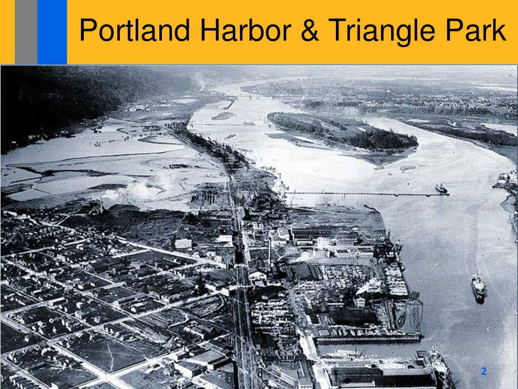 PPT - Triangle Park Removal Action Area within the Portland Harbor ...