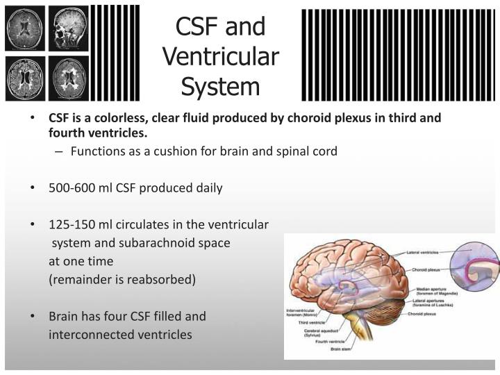 PPT - Care of the Patient with an EVD or Lumbar Drain PowerPoint ...
