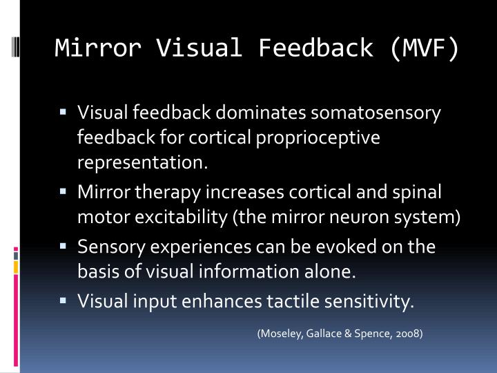 PPT - Introduction to the use of mirrors in rehabilitation PowerPoint ...