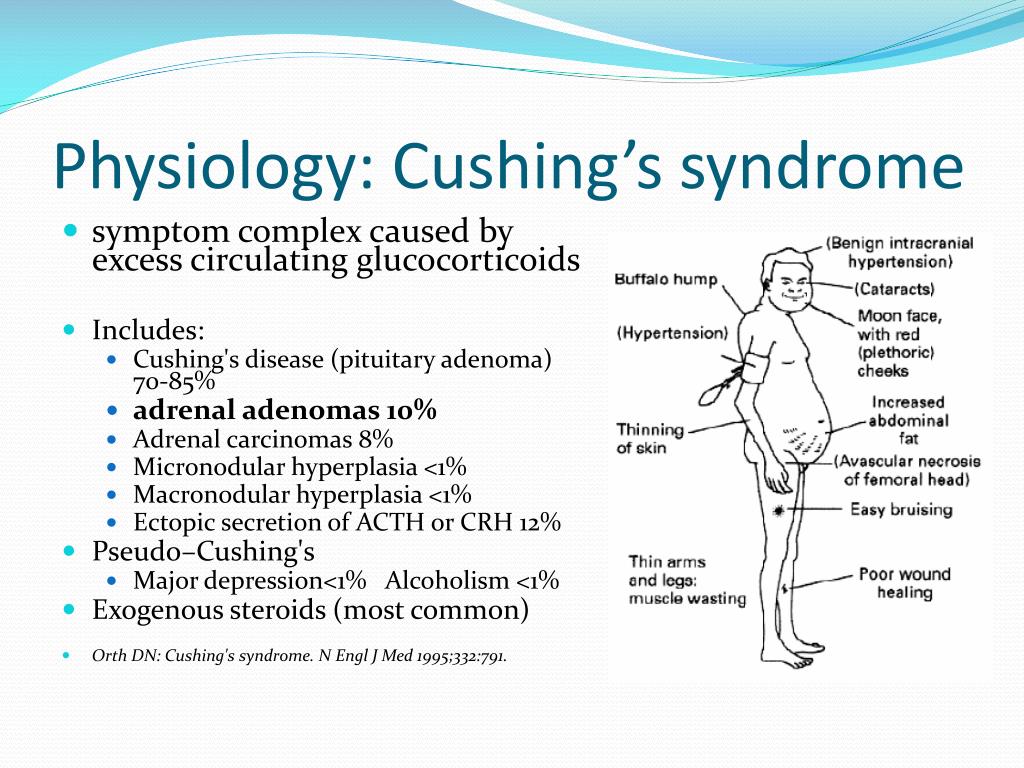 Ppt Adrenal Masses For Urology Trainees Powerpoint Presentation