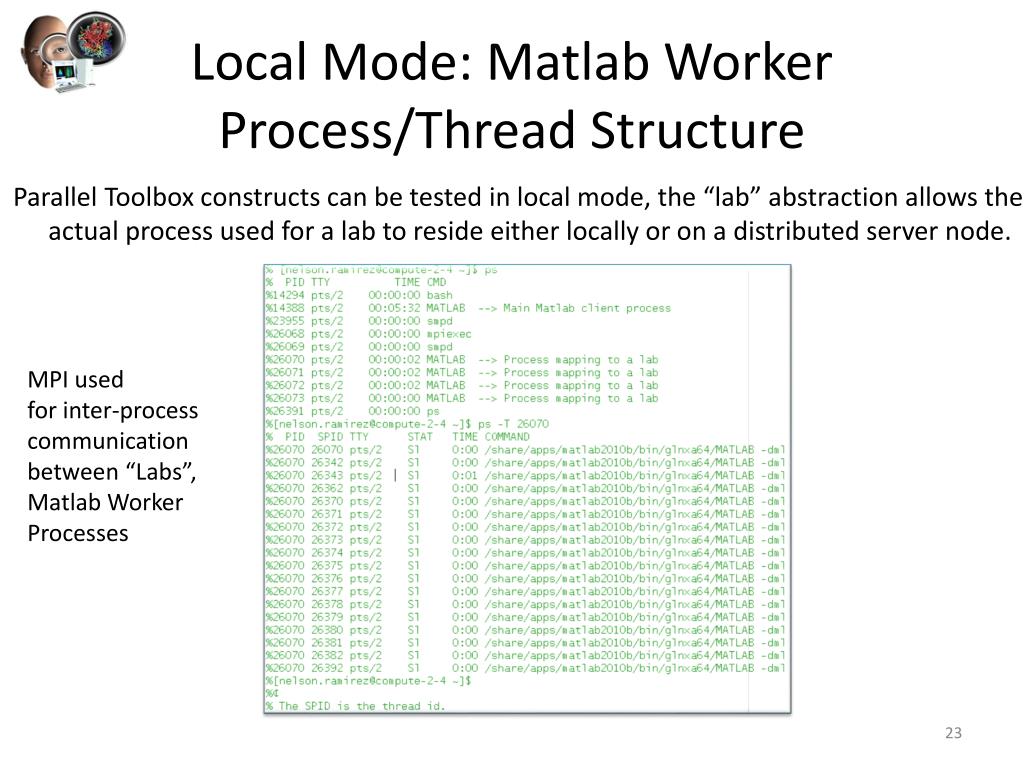 Ppt Parallelization With The Matlab® Distributed Computing Server Mdcs Cbi Cluster