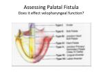 PPT - Cleft Palate Speech-Part 2: Assessment, Intervention and Medical ...