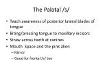 PPT - Cleft Palate Speech-Part 2: Assessment, Intervention and Medical ...