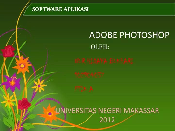 PPT - ADOBE PHOTOSHOP PowerPoint Presentation, free download - ID:1577544