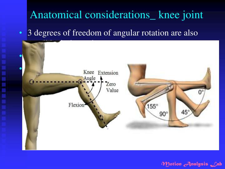 PPT - Motion Analysis Summer Course PowerPoint Presentation - ID:1580971