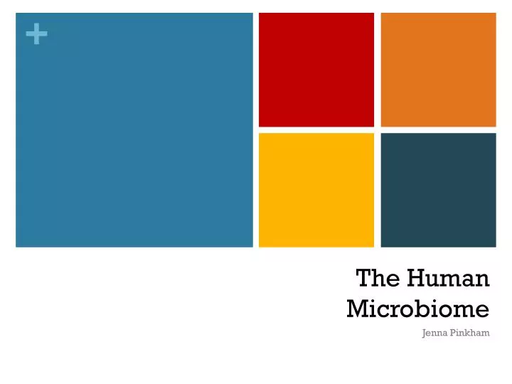 PPT - The Human Microbiome PowerPoint Presentation, free download - ID ...