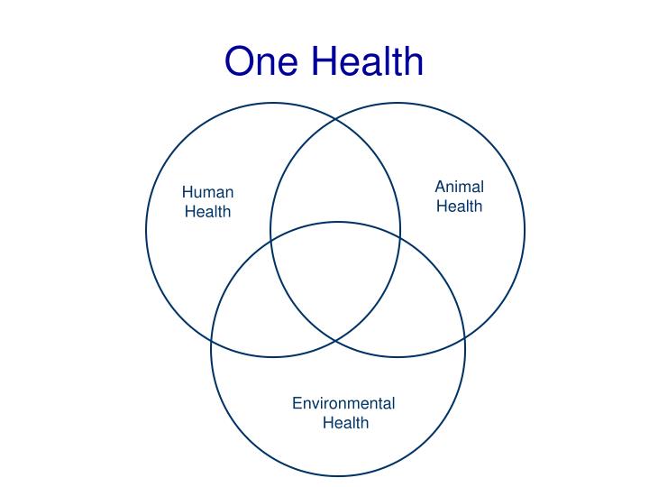 PPT - Veterinary Medicine and One Health Protecting the health of ...