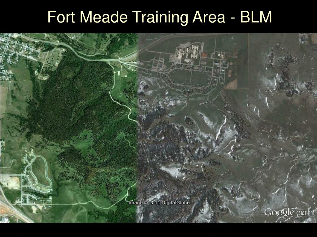 PPT - 196 th Regiment (Regional Training Institute) Fort Meade and ...