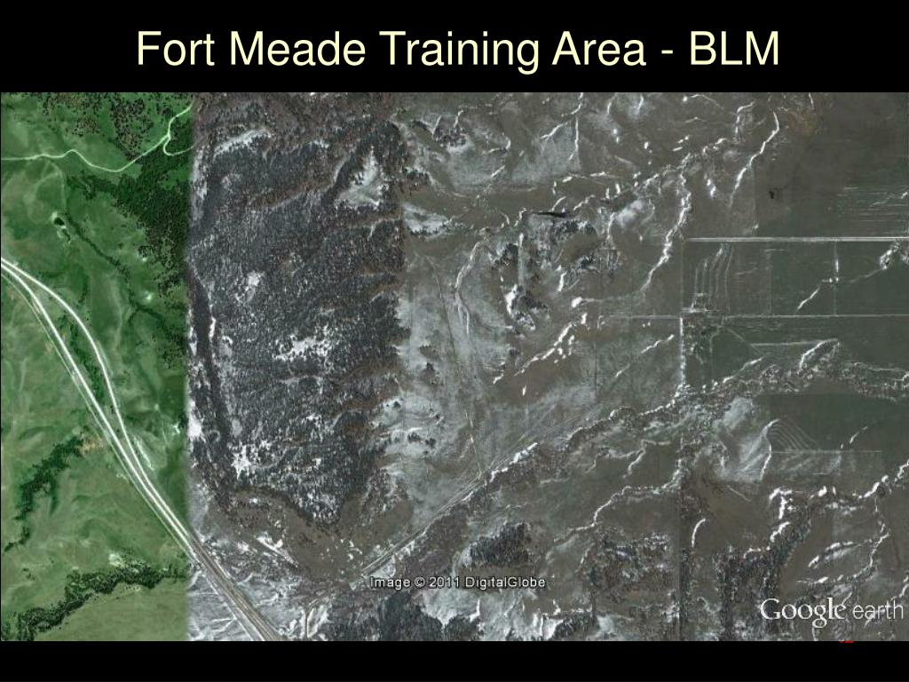 PPT - 196 th Regiment (Regional Training Institute) Fort Meade and ...