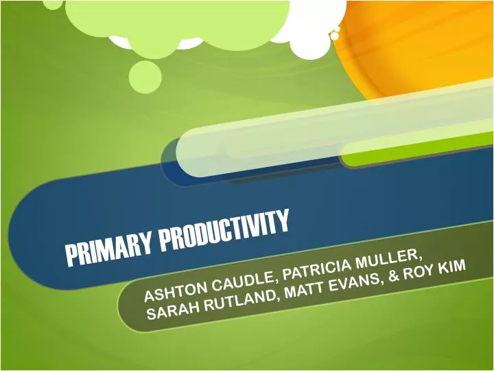 PPT - PRIMARY PRODUCTIVITY PowerPoint Presentation, free download - ID ...