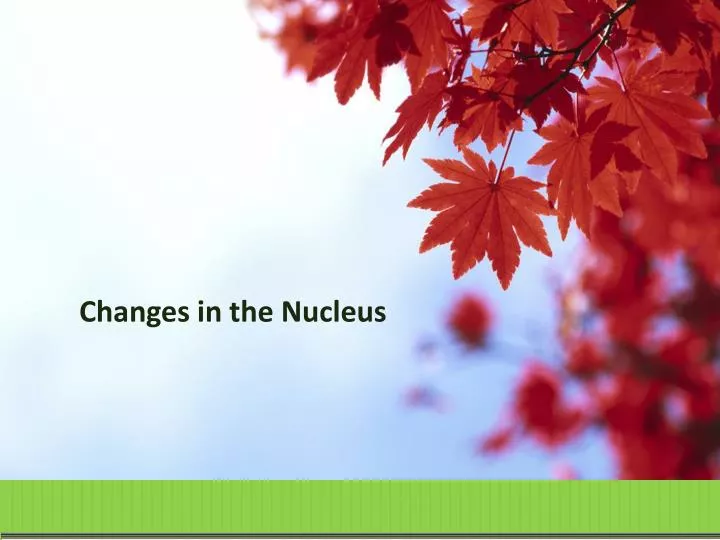 PPT - Changes in the Nucleus PowerPoint Presentation, free download ...