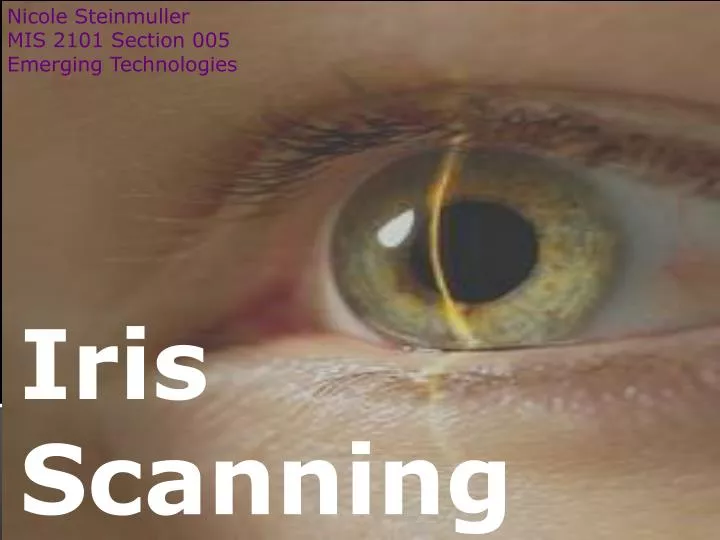 PPT - Iris Scanning PowerPoint Presentation, free download - ID:1587262