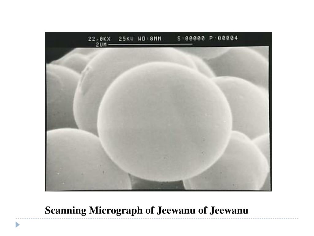 PPT - Vinod Kumar Gupta, Department of Zoology, C.M.D . Post Graduate ...