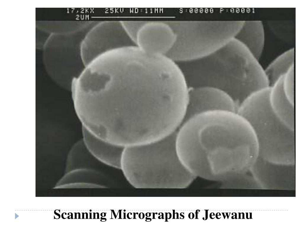 PPT - Vinod Kumar Gupta, Department of Zoology, C.M.D . Post Graduate ...