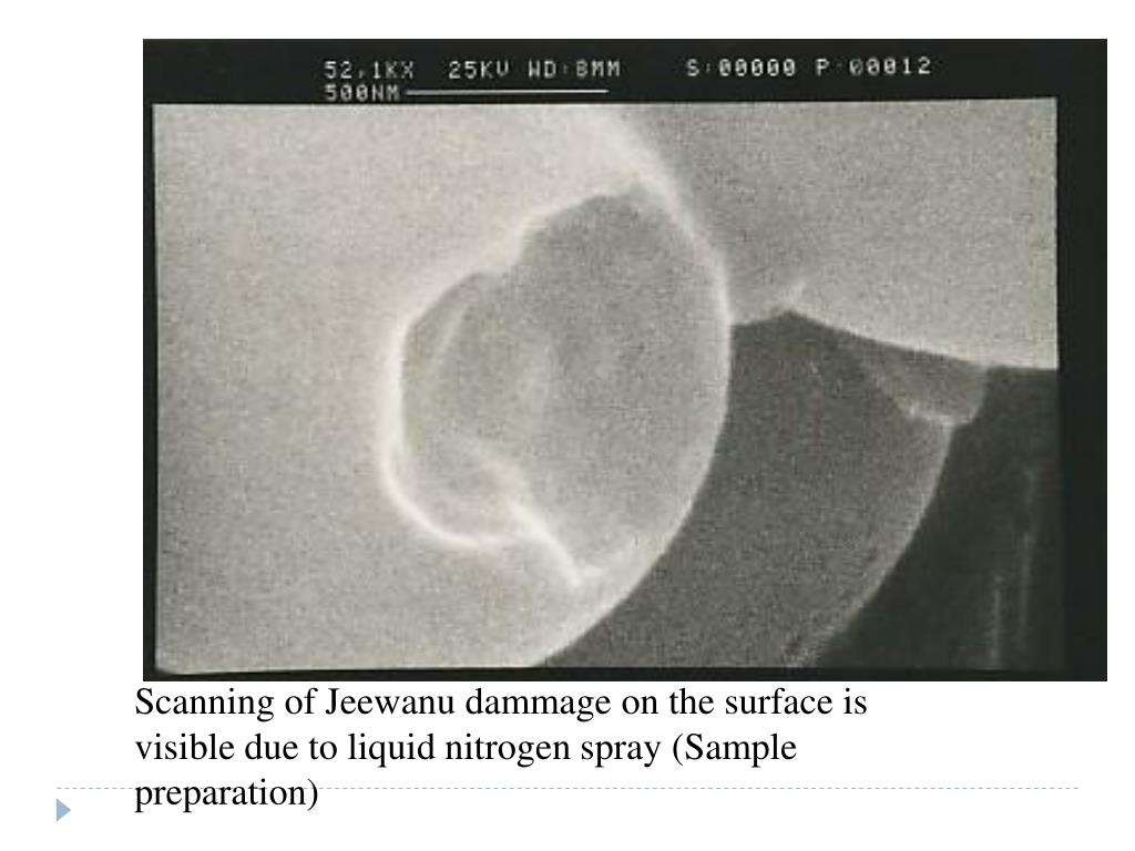 PPT - Vinod Kumar Gupta, Department of Zoology, C.M.D . Post Graduate ...