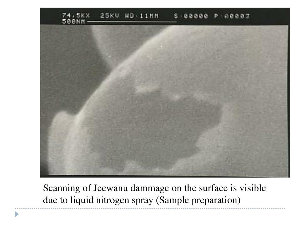 PPT - Vinod Kumar Gupta, Department of Zoology, C.M.D . Post Graduate ...