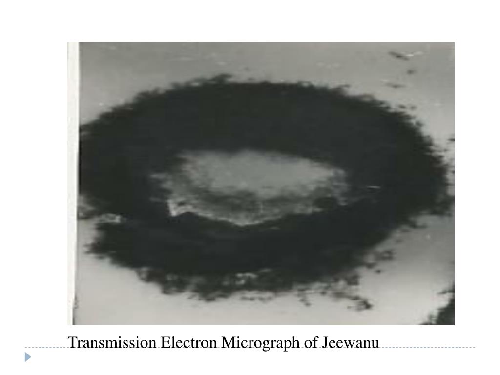 PPT - Vinod Kumar Gupta, Department of Zoology, C.M.D . Post Graduate ...