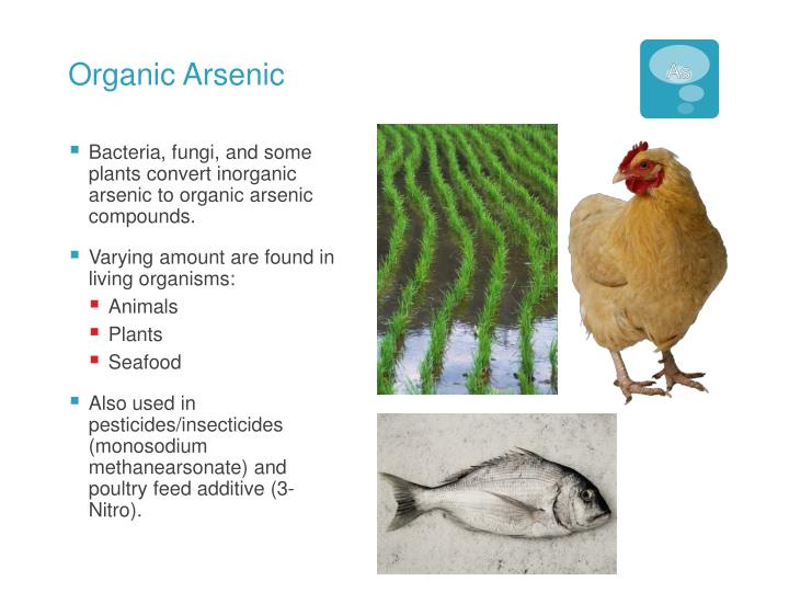 PPT - Arsenic PowerPoint Presentation - ID:1588057