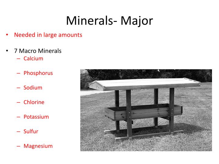 PPT - Animal Nutrition PowerPoint Presentation - ID:1588216