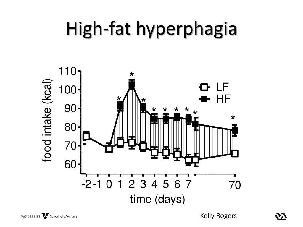PPT - Food and Mood Metabolic Underpinnings of CNS Function Kevin ...