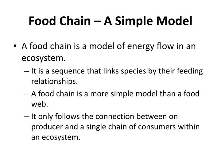 PPT - Food Chains, Food Webs, and Energy Pyramids PowerPoint ...