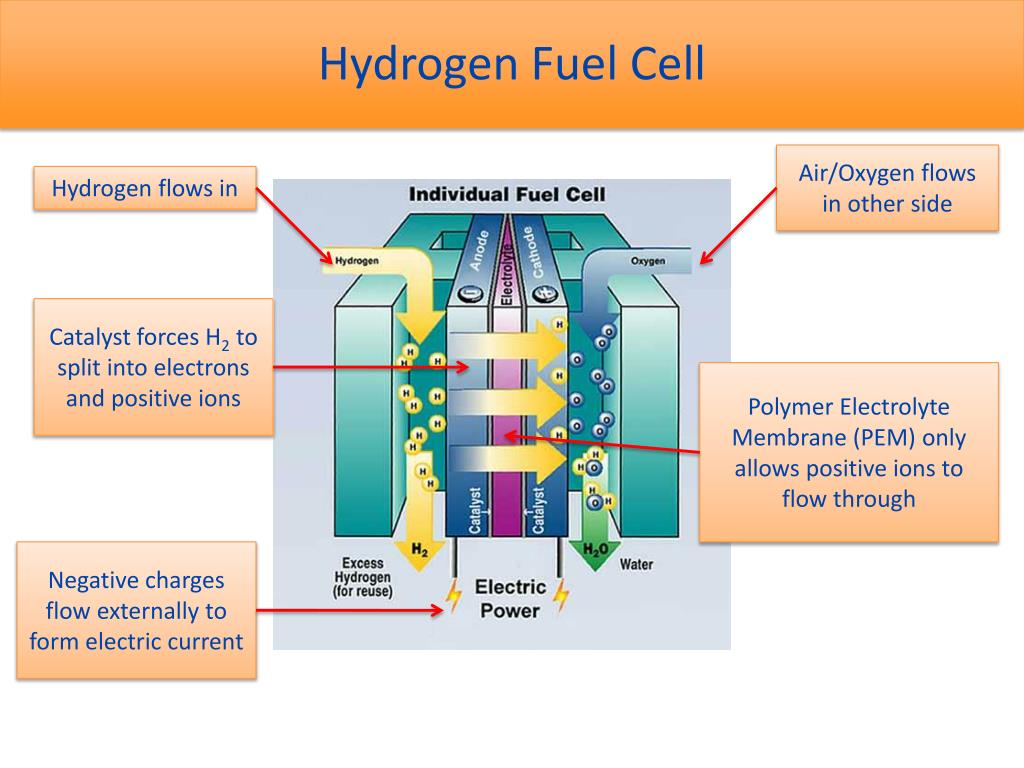 PPT - Green Energy: Fuel Cell? Solar? Wind? Our Future? PowerPoint ...