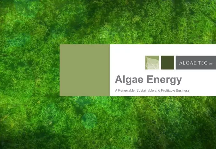 PPT - Algae Energy PowerPoint Presentation, free download - ID:1589764