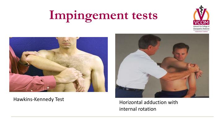 PPT - Geriatric Musculoskeletal Exam PowerPoint Presentation - ID:1589835