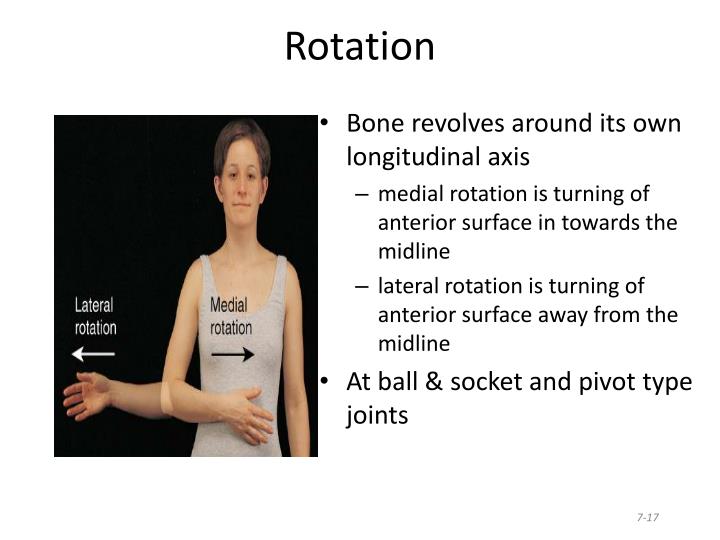 PPT - Classification of Joints PowerPoint Presentation - ID:1589838