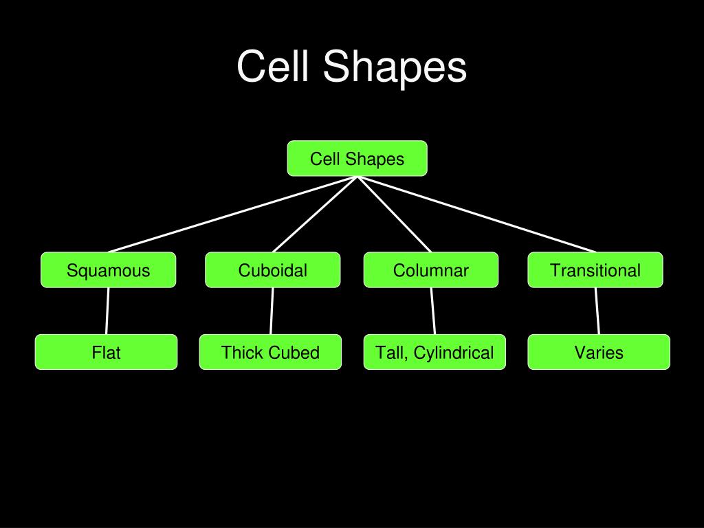 PPT - Headings Vocabulary Important Information PowerPoint Presentation ...