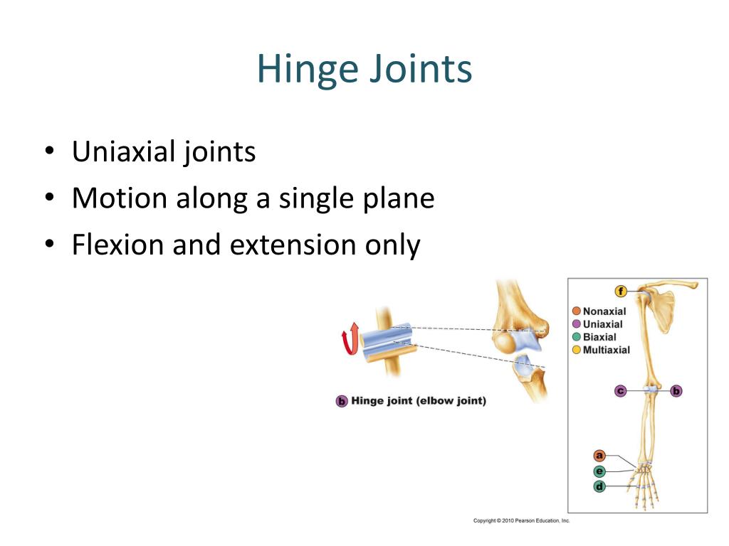 PPT - Joints PowerPoint Presentation, free download - ID:1589956 PPT - Joints PowerPoint Presentation, free download - ID:1589956
