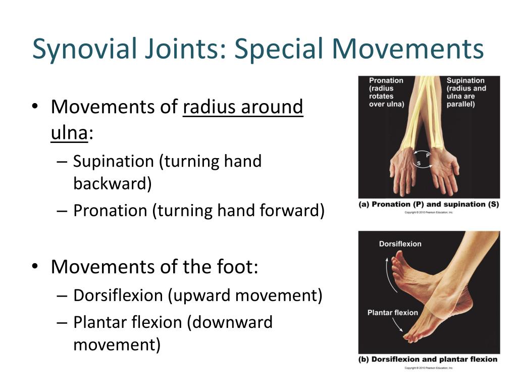 PPT - Joints PowerPoint Presentation, free download - ID:1589956 PPT - Joints PowerPoint Presentation, free download - ID:1589956