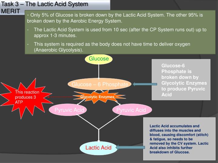 PPT - Energy Systems- Structure PowerPoint Presentation - ID:1590137