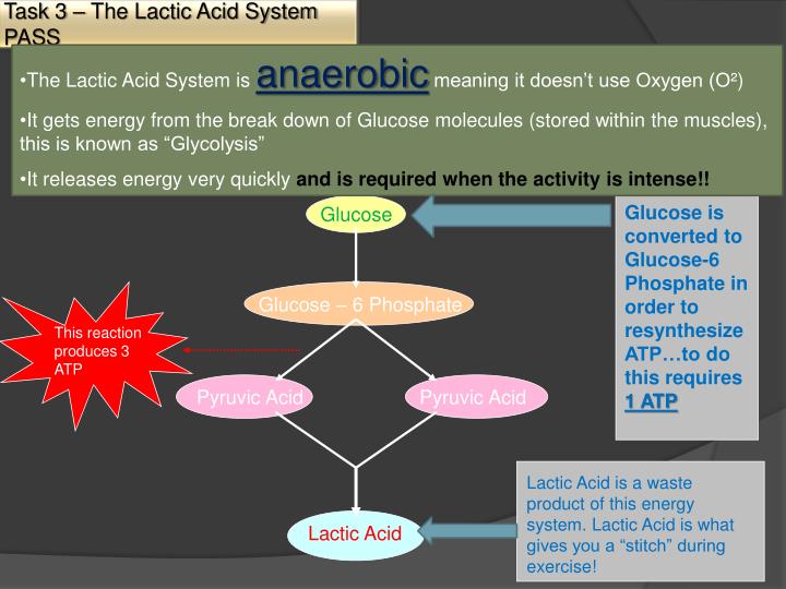 PPT - Energy Systems- Structure PowerPoint Presentation - ID:1590137