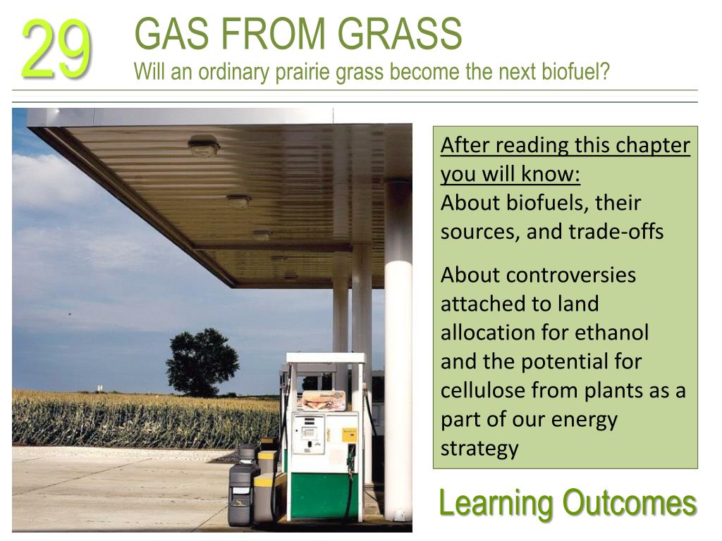 PPT - GAS FROM GRASS Will an ordinary prairie grass become the next ...