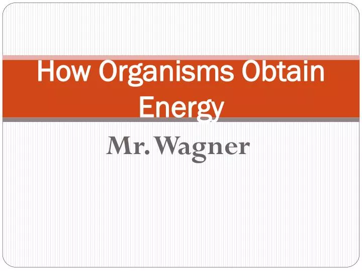 PPT - How Organisms Obtain Energy PowerPoint Presentation, free ...