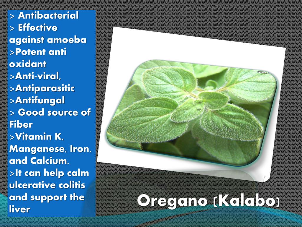 PPT - The Amazing Health Benefits of common Herbs, Fruits & Vegetables ...