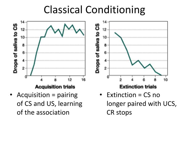 PPT - Learning Theories PowerPoint Presentation - ID:1591301