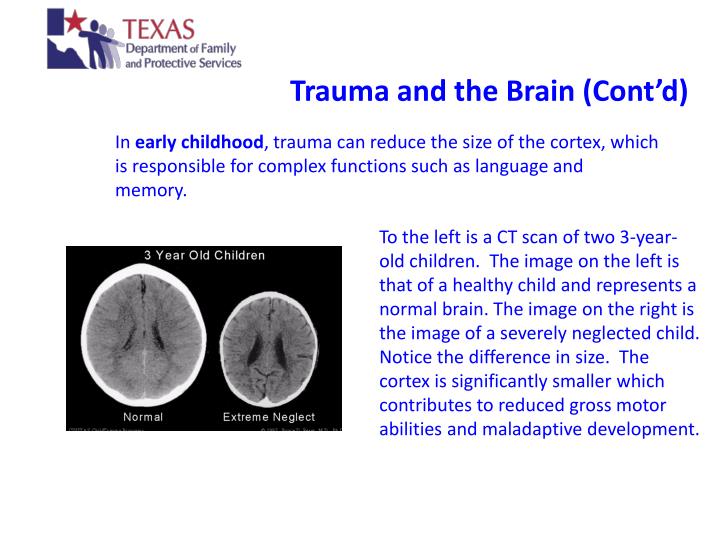PPT - Trauma-Informed Care Training PowerPoint Presentation - ID:1591559