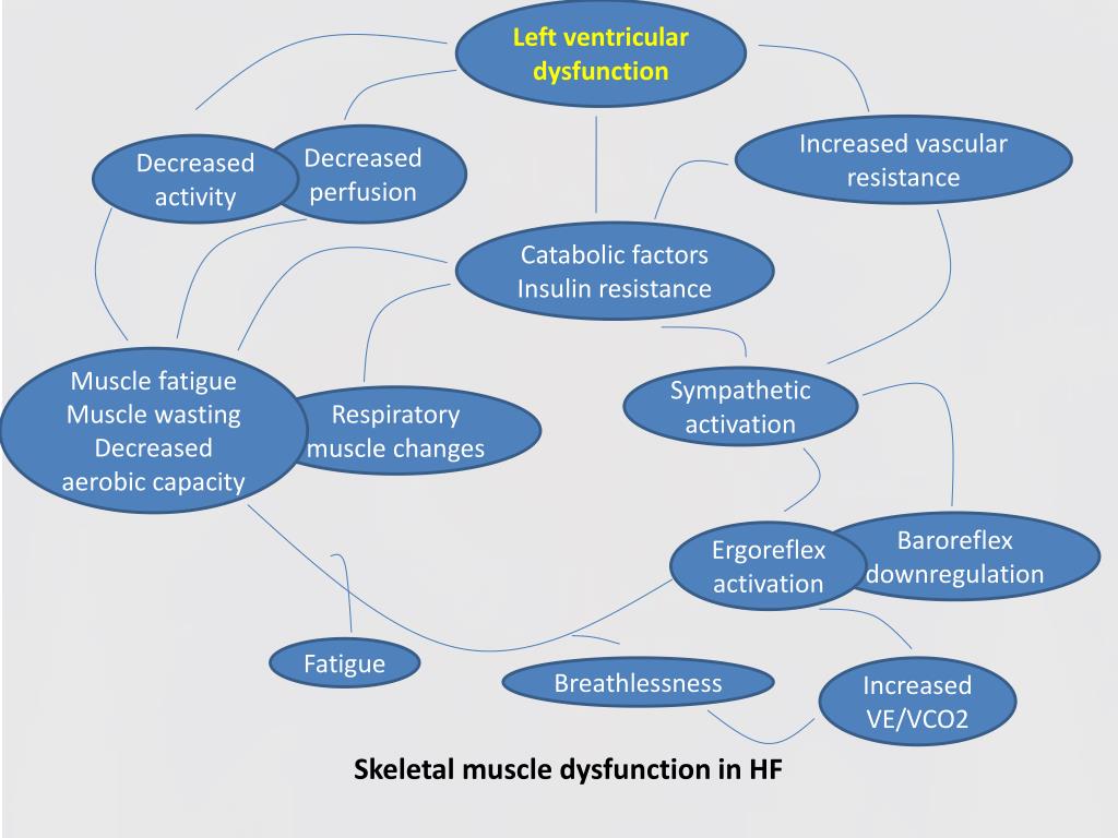 PPT - Medical Rehabilitation in cardiac patients with HF PowerPoint ...