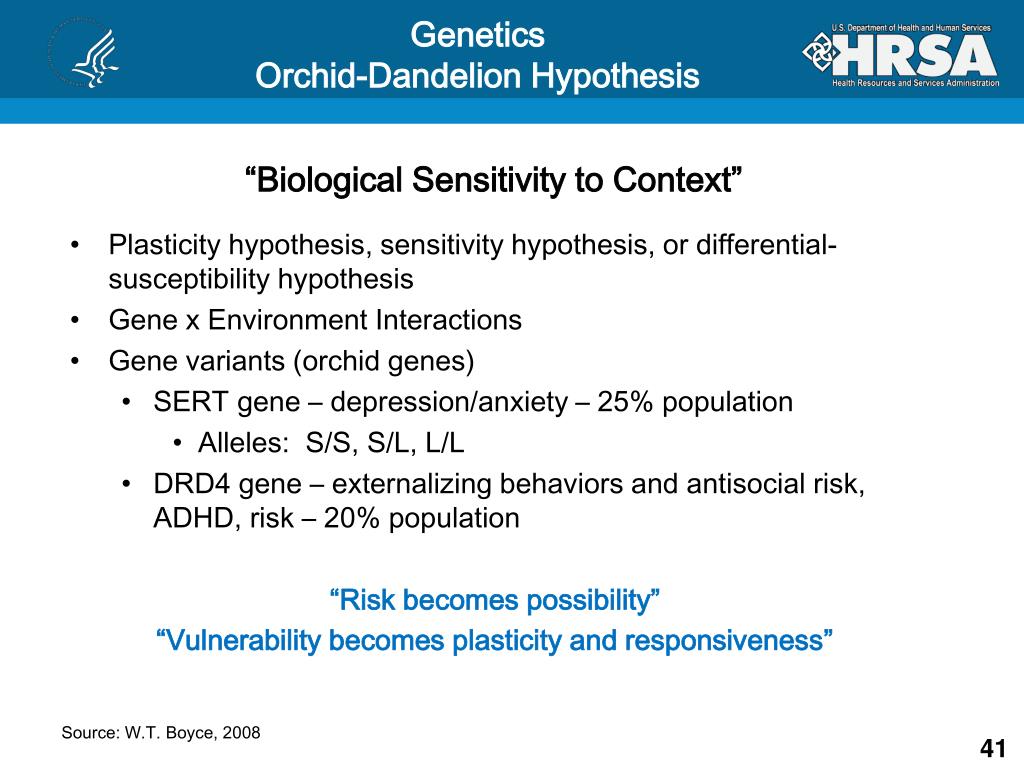 PPT - David W. Willis, M.D., FAAP Director, Division of Home Visiting ...