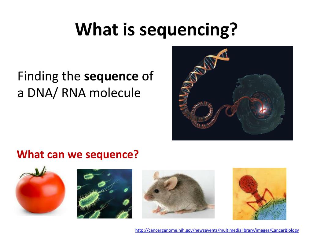 Ppt Introduction To Next Generation Sequencing Powerpoint
