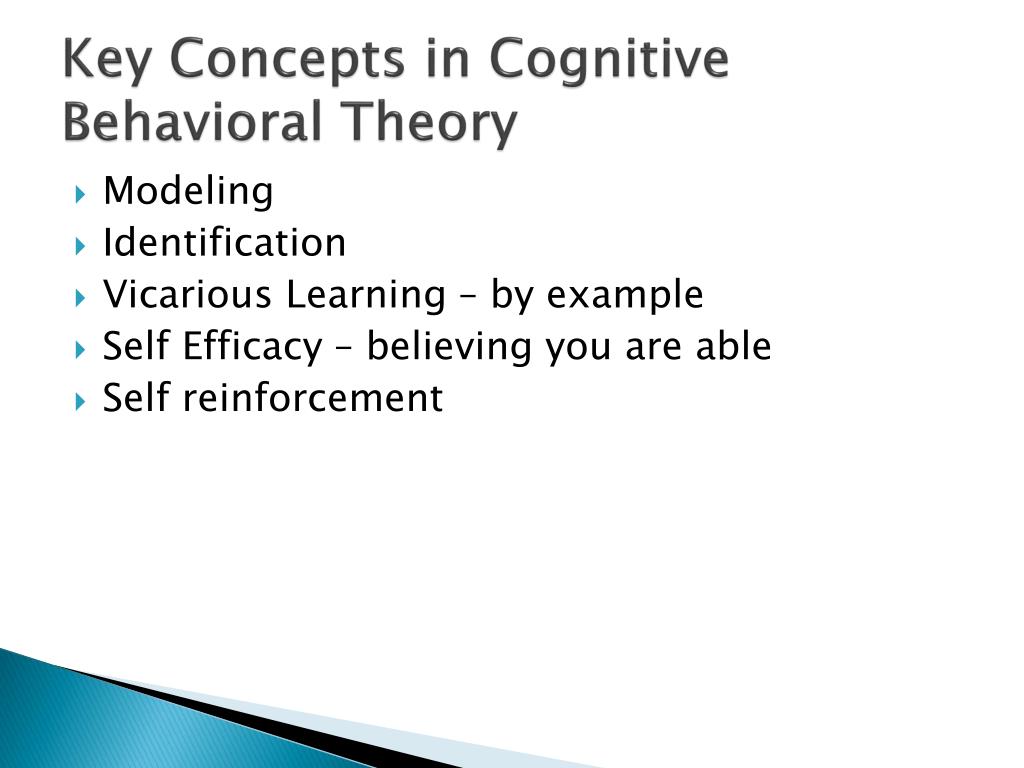 PPT - Human Behavior and the Social Environment: Individuals and ...