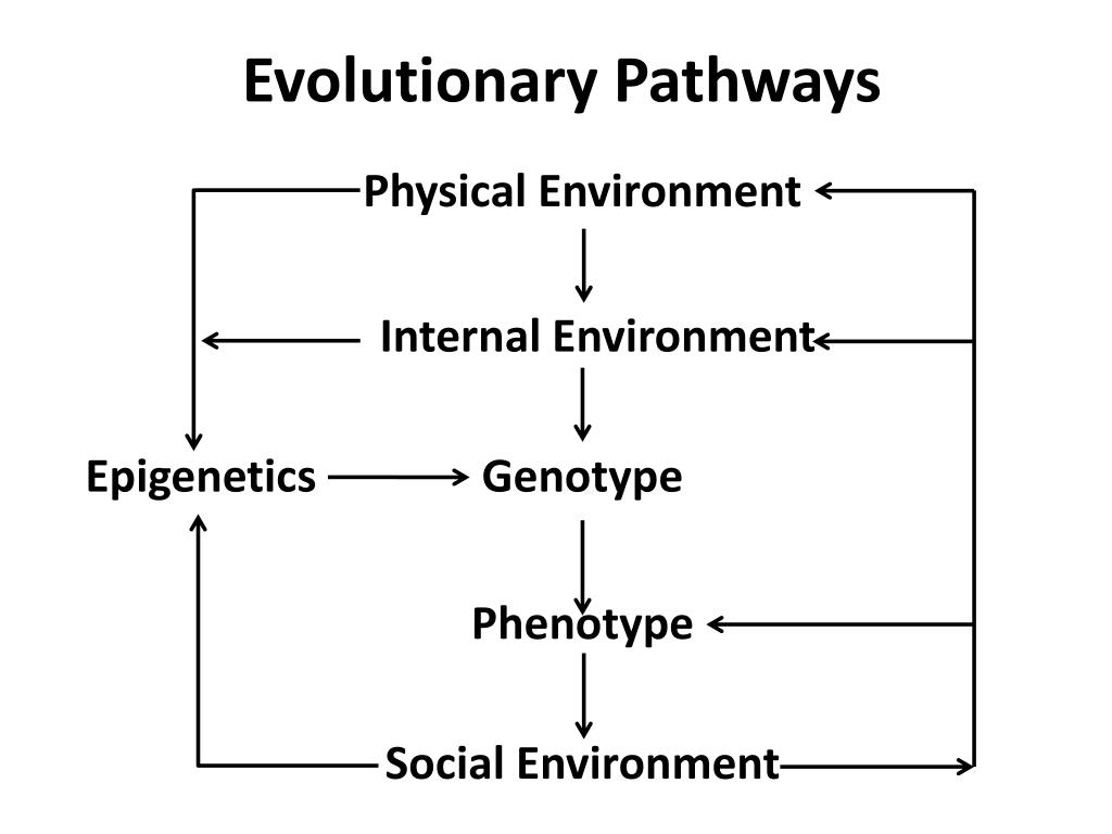PPT - Physiology & Medicine of Extreme Environments Course Spring 2014 PowerPoint Presentation ...